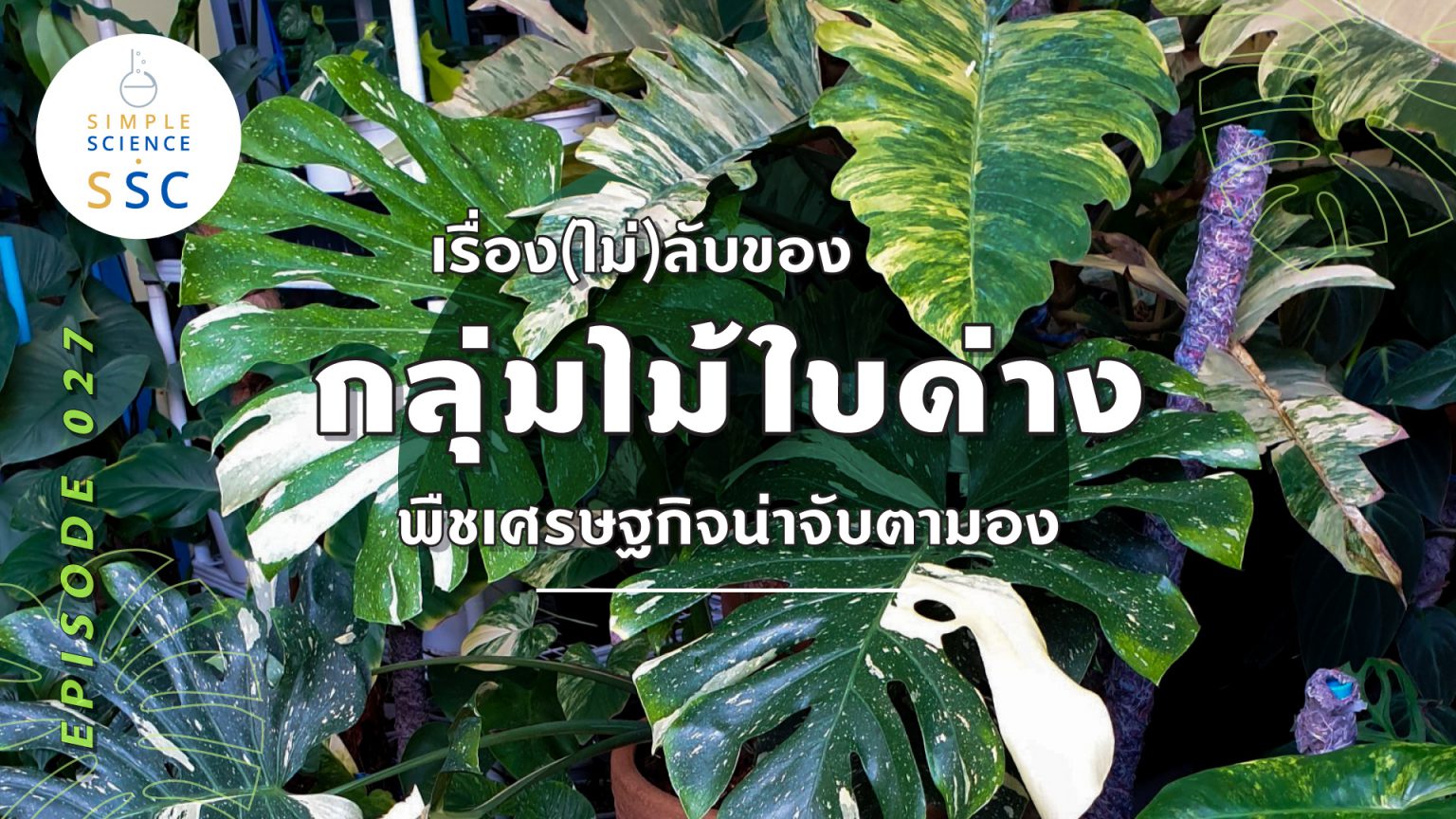 SIMPLE SCIENCE | Video EP 8: ‘แย้’